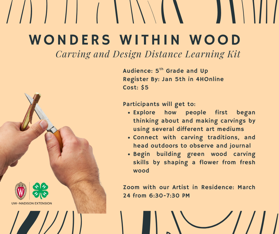 New Distance Learning Wood Carving Program! – Extension Trempealeau County